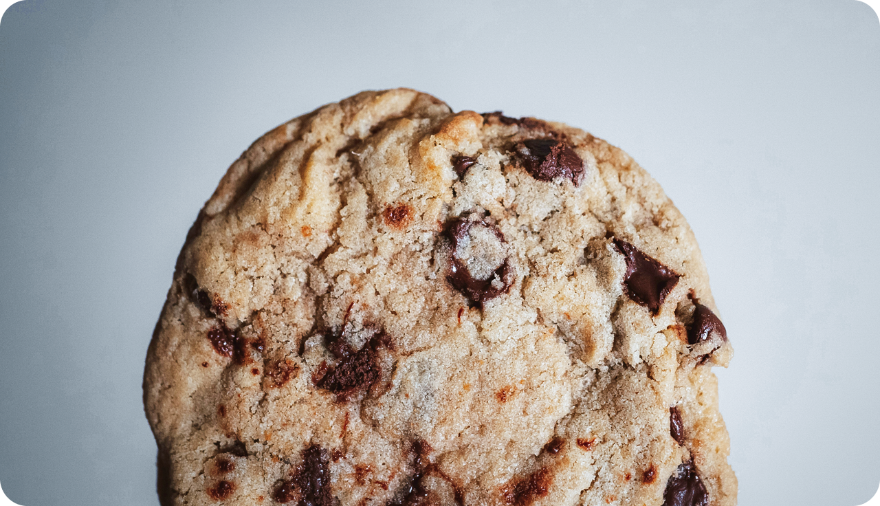 Exploring Campaign Planning & Execution in a Cookieless World - Digilant